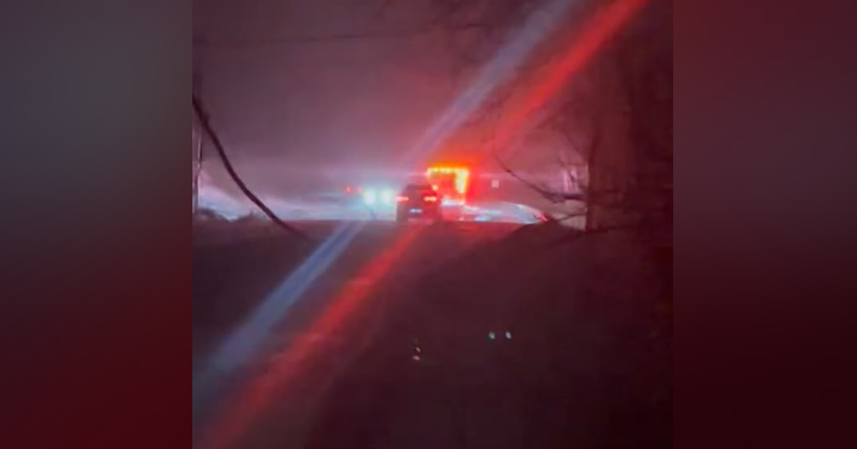 2 killed in Calvert County after tree falls on car amid snow storm ...