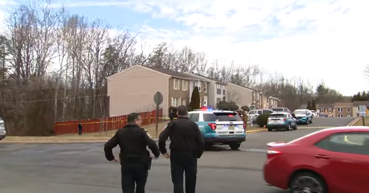 Virginia murder-suicide investigation leaves four dead, police say ...