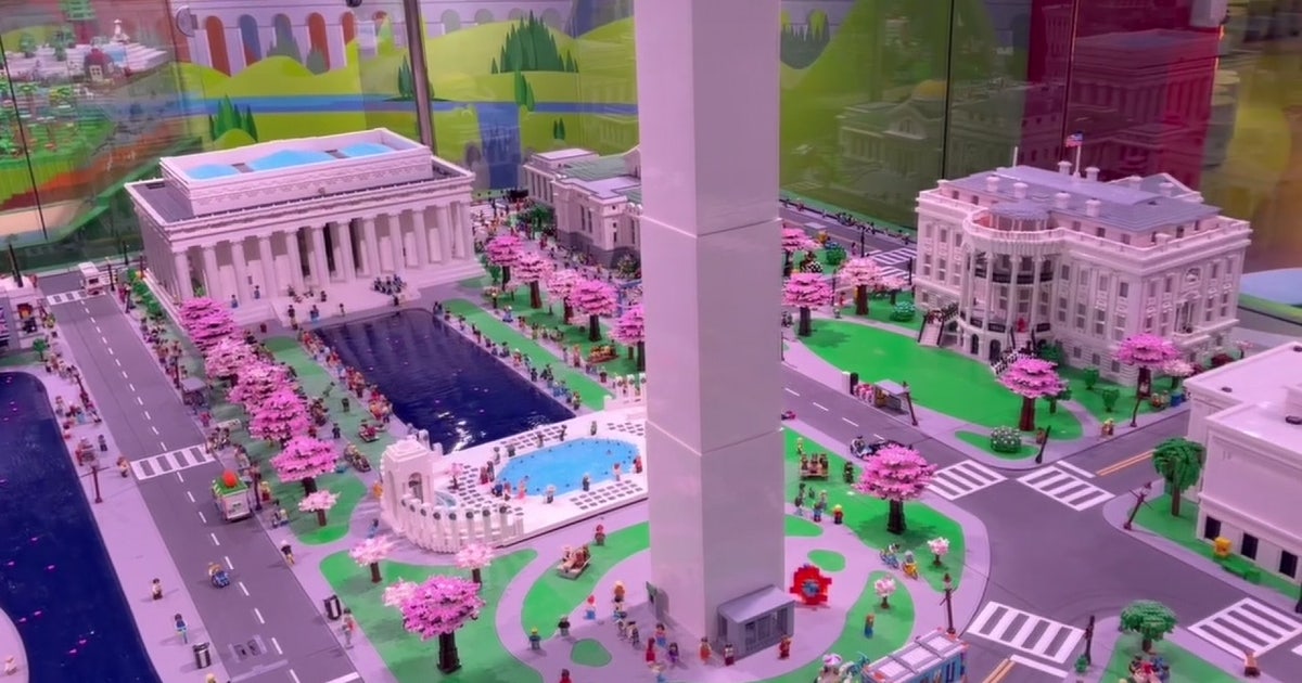 Lego cherry blossoms hit peak bloom in Springfield | FOX 5 DC