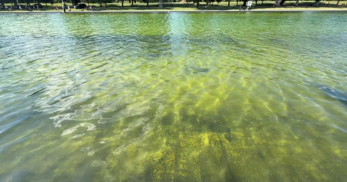Trump blames Reflecting Pool issues on vandalism, says arrests made ...