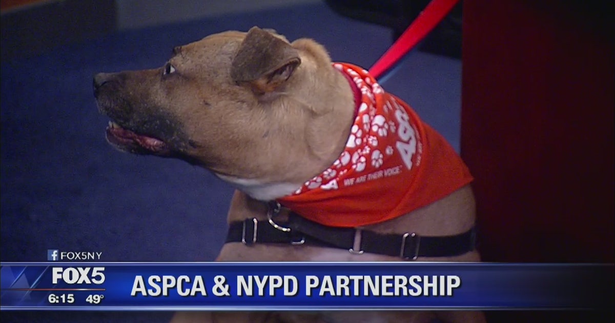 NYPD, ASPCA: Partners in protecting animals | FOX 5 New York