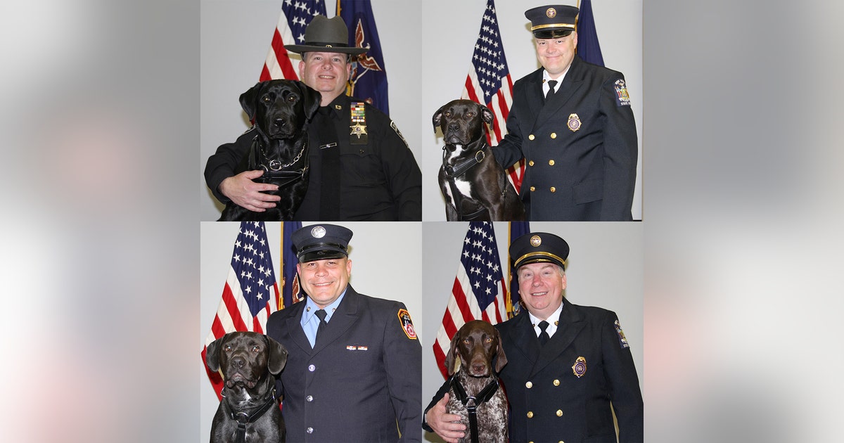 Canine teams graduate from special arson course | FOX 5 New York