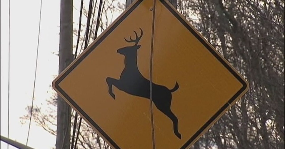 Deer urine controversy in NY | FOX 5 New York