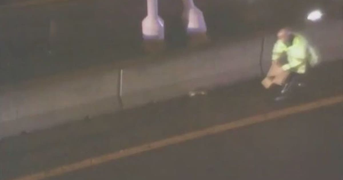Rabbit led troopers on wild chase on Boston bridge | FOX 5 New York