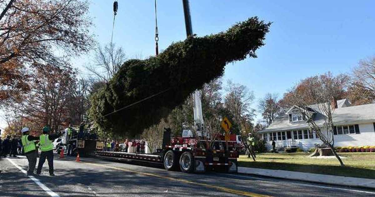 After holiday, Rockefeller tree used by Habitat for Humanity | FOX 5 ...