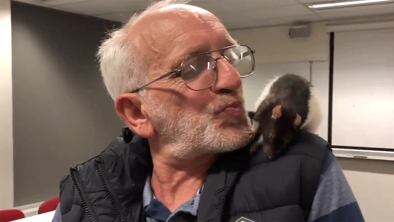 Pet rat returned to homeless man