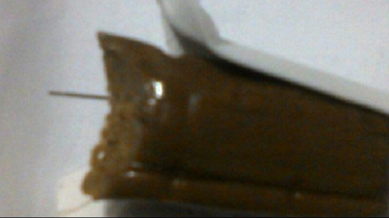 NJ State Police investigate report of needle in candy