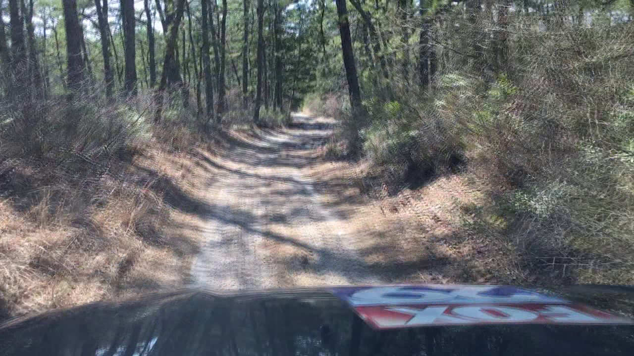 Was Bigfoot sighted in the New Jersey Pine Barrens? | FOX 5 New York