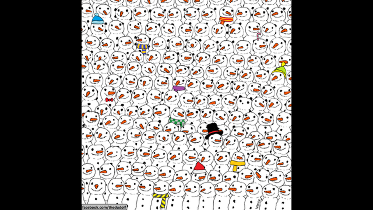 Can you find the panda?