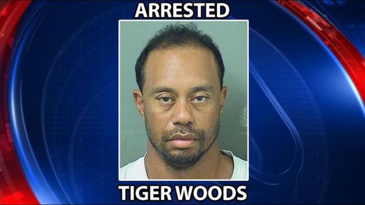 Tiger Woods to plead guilty to reckless driving