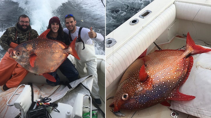 Rare fish caught by sport fishermen in Ocean City | FOX 5 New York