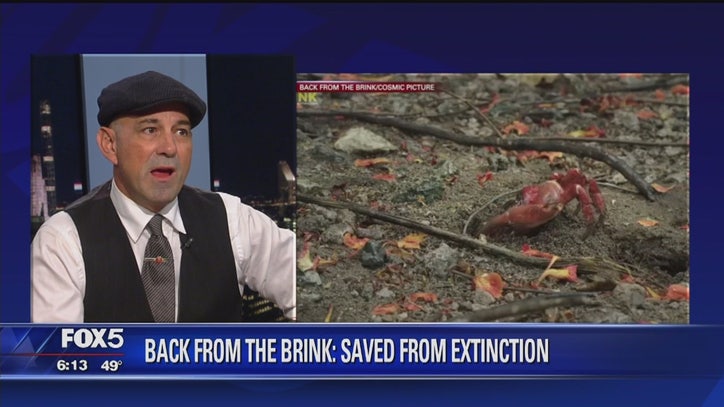 Interview with director Sean Casey | FOX 5 New York