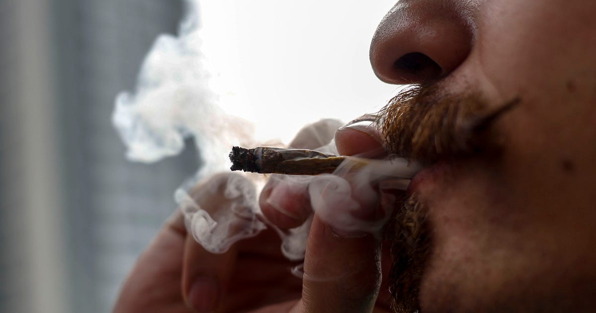 Men who regularly smoke pot may have increased risk of testicular ...