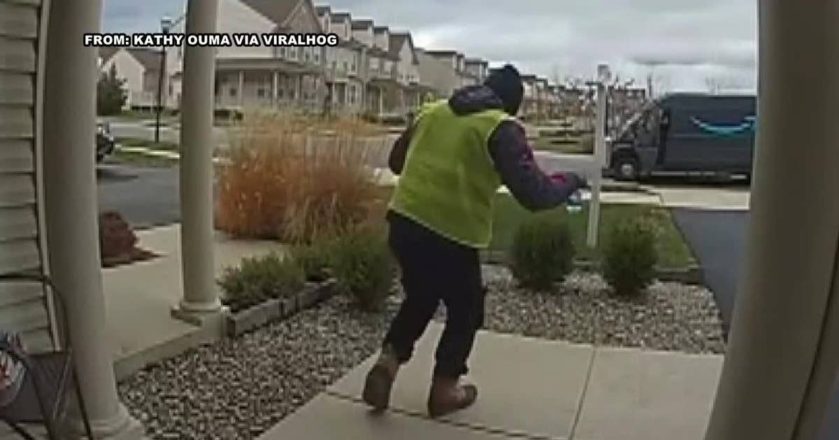 Amazon delivery driver's hilarious reaction to basket of treats outside ...