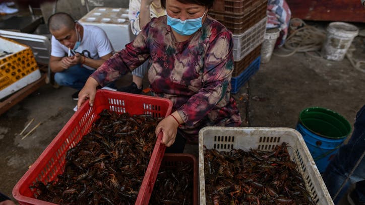 Live animal markets should stay open, says WHO | FOX 5 New York