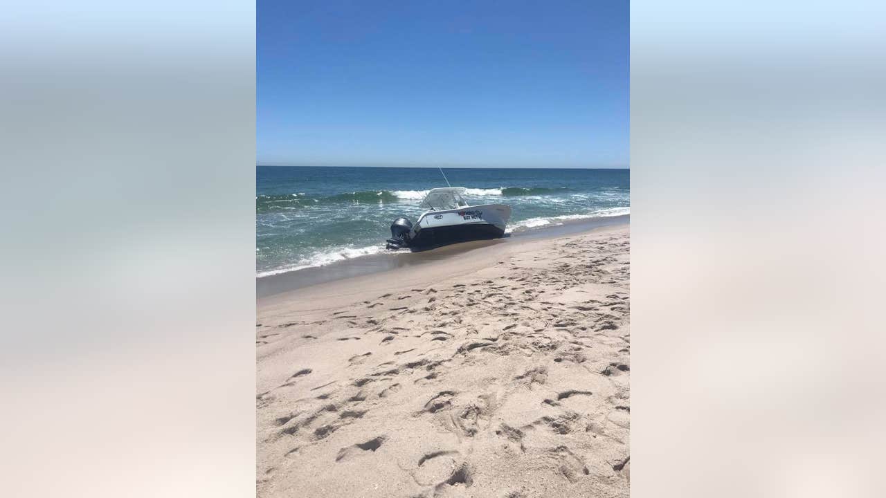 Whale capsizes boat along New Jersey shore | FOX 5 New York