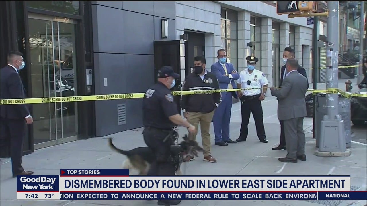 Dismembered body found