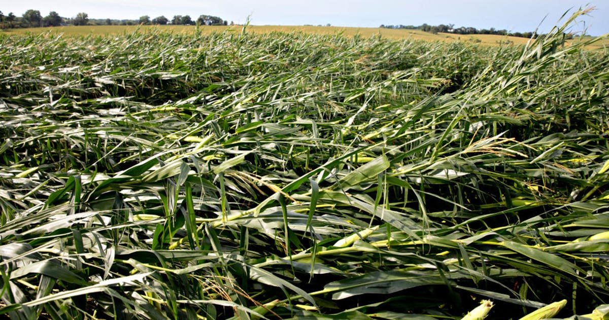Storm damaged up to 10 million acres of Iowa farmland | FOX 5 New York