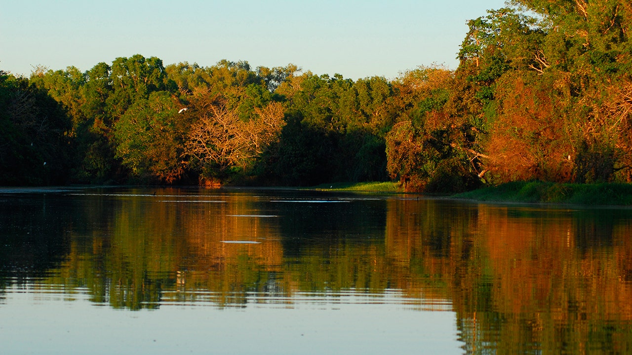 Fishermen rescue naked fugitive from Australian tree | FOX 5 New York