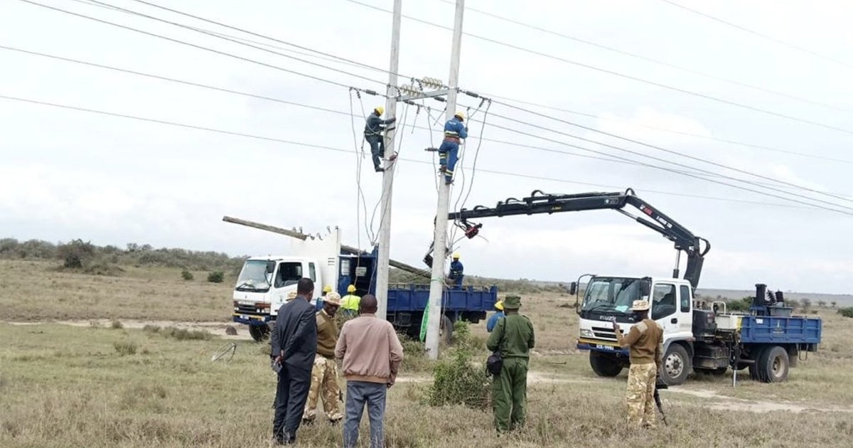 2 giraffes electrocuted by power lines in Kenya park | FOX 5 New York