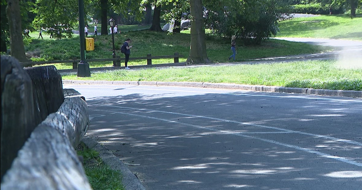 Suspect in random Central Park attacks arrested: Details | FOX 5 New York