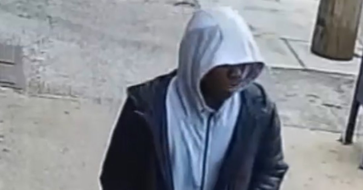 Man attacks boy in phone robbery attempt | FOX 5 New York