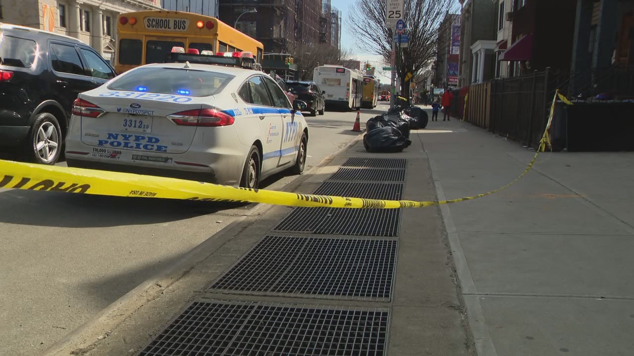 Womans Dismembered Torso Found Inside Shopping Cart In Nyc Fox 5 New