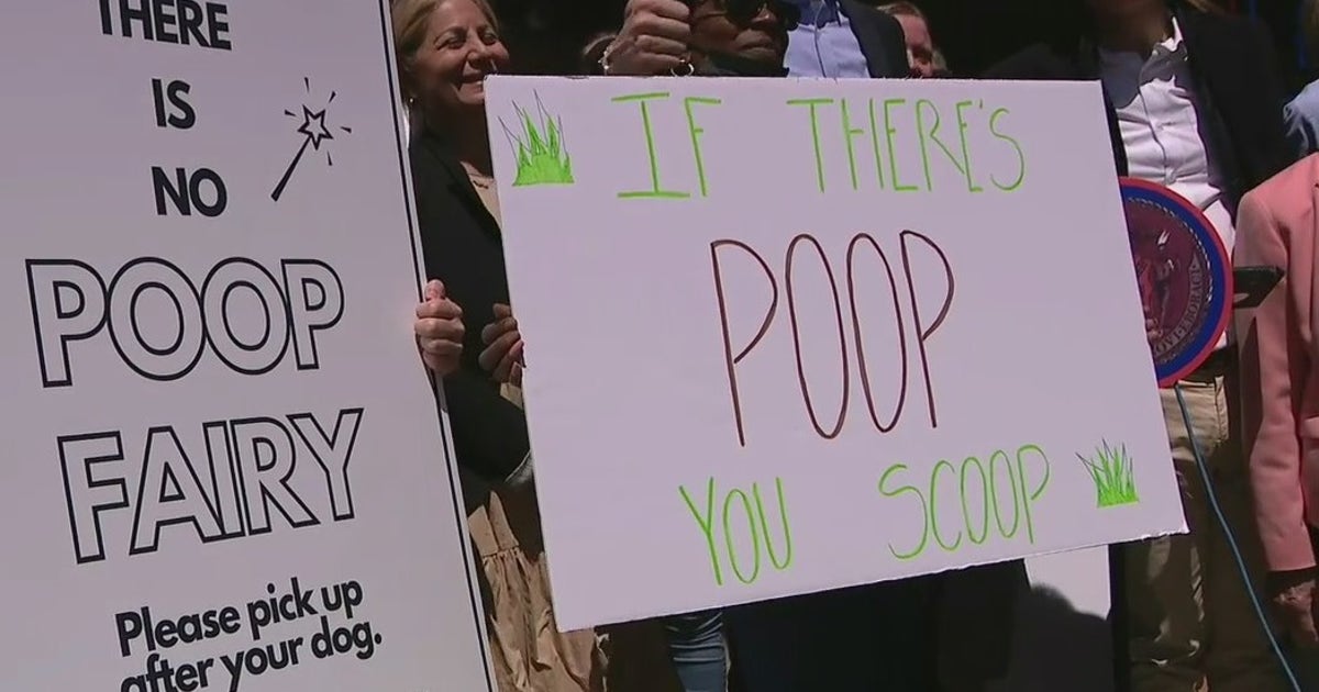 Dog feces crackdown on Manhattan streets; 'no poop fairy' | FOX 5 New York