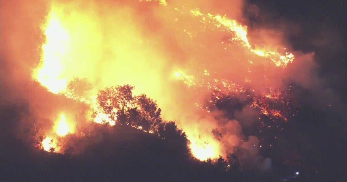 Coyote Fire: Wildfire contained after burning part of Hollywood Hills ...