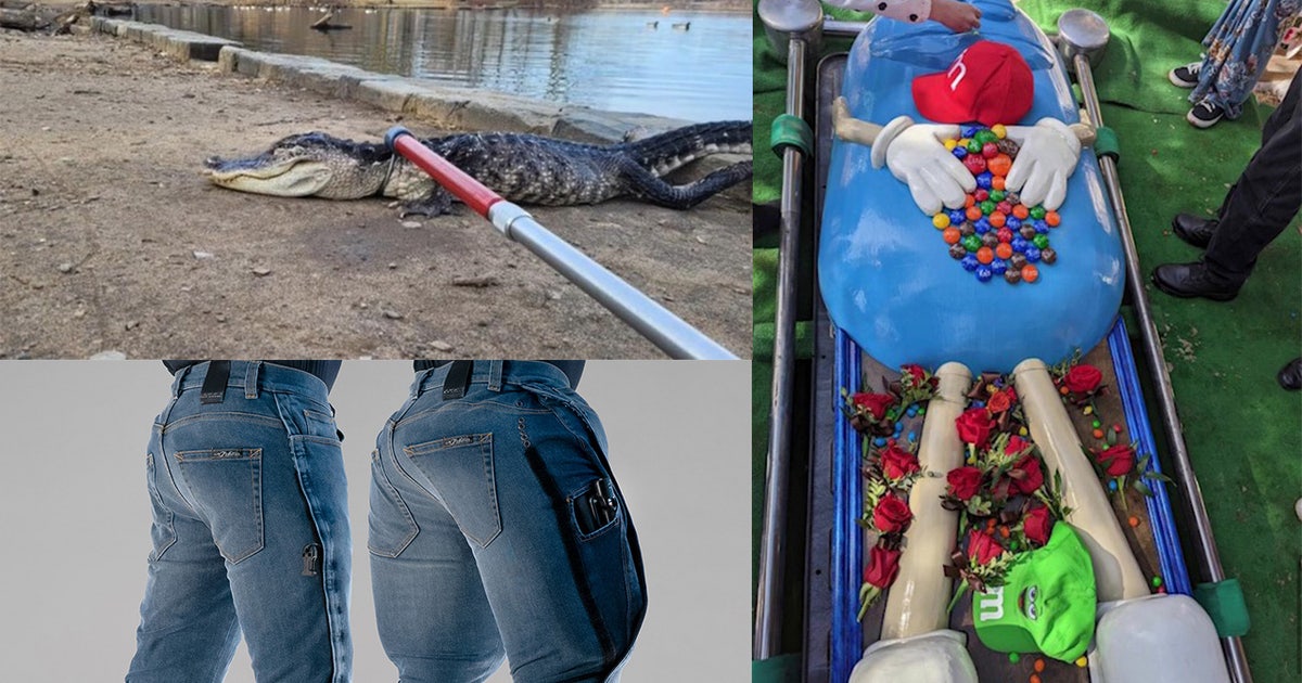 An alligator in Brooklyn, M&M casket, airbag jeans: Top heartwarming ...