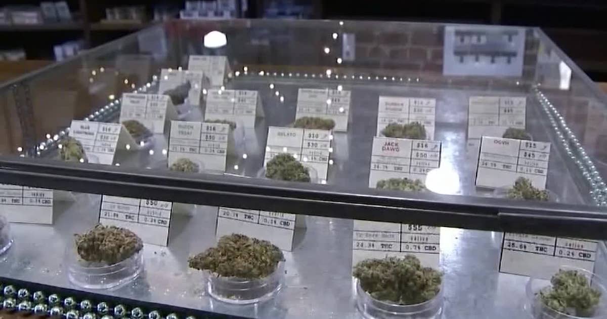 Cannabis crackdown: 31 NY businesses raided, 1K pounds of illegal pot ...