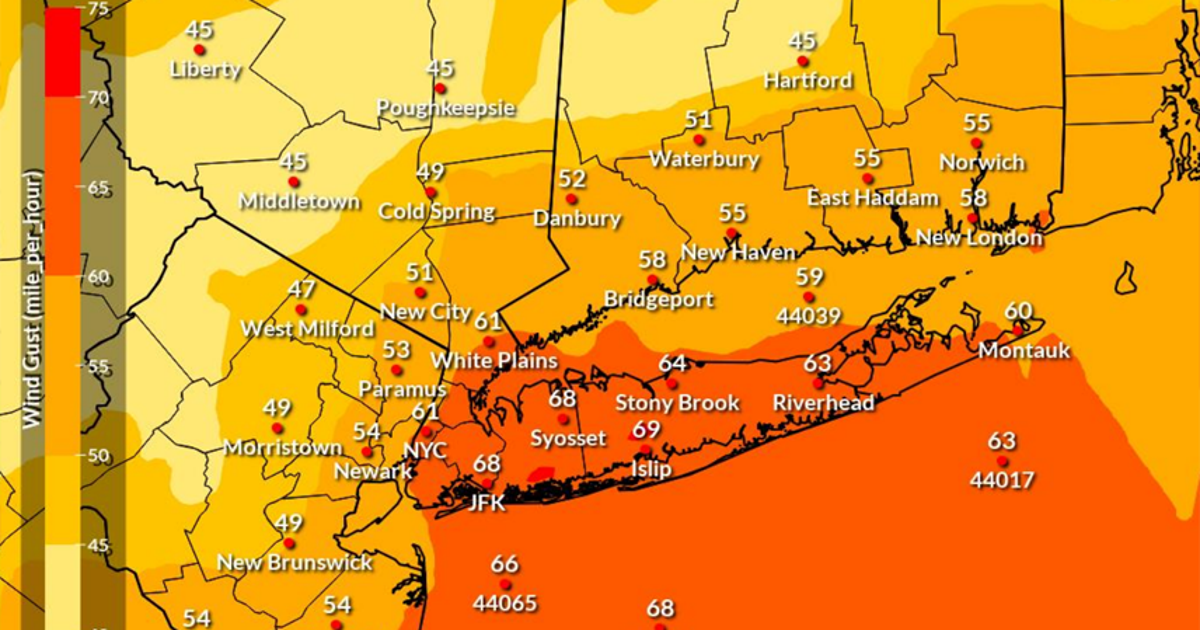 Long Island storm forecast: Coastal flood, high wind warnings issued ...