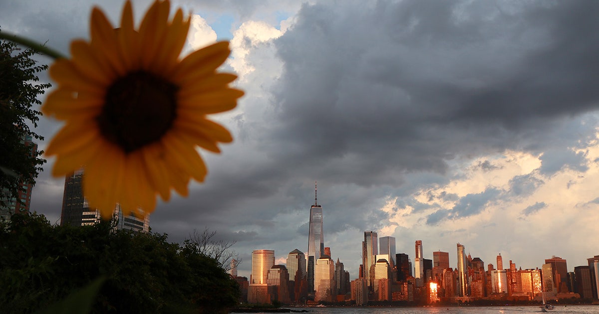 Things to do in NYC: Negroni week, football, apple picking, ChainFest ...
