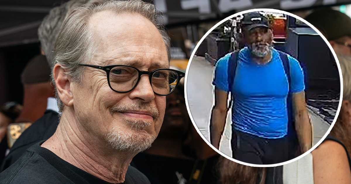 Steve Buscemi punched in NYC: Photo shows alleged attacker, sources say ...
