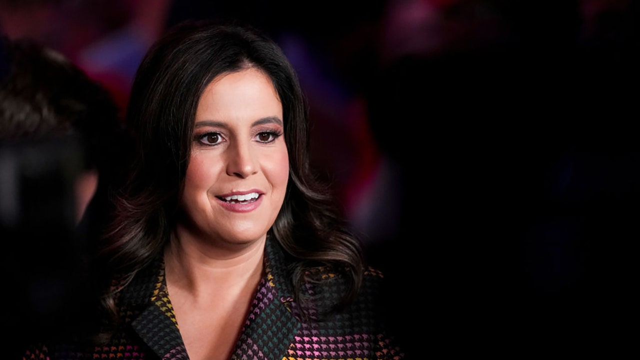 Who Is Rep Elise Stefanik Trump Picks New Yorker To Serve As Un