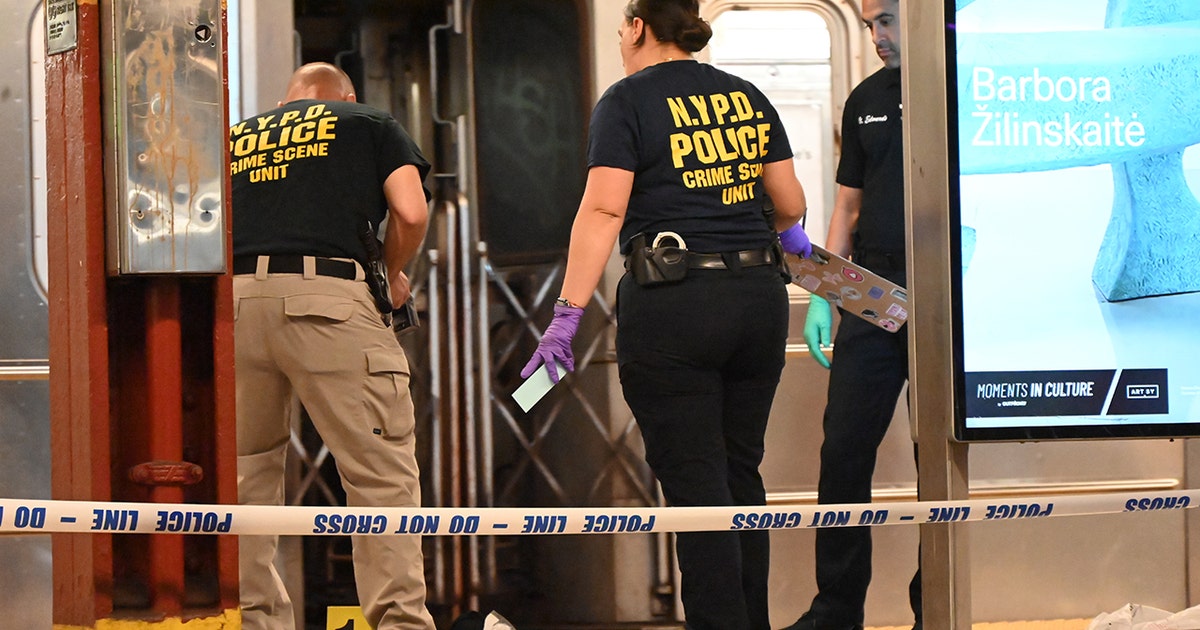 NYC crime: Random attacks linked to mental health issues, NYPD ...