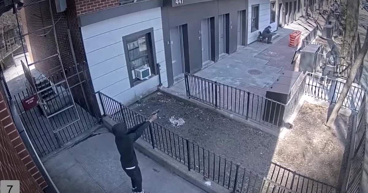 Gang membership in New York City hits all-time high, with recruits ...