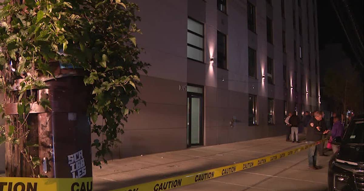 Teen robbery suspect shot by police after confrontation; NYPD officer ...