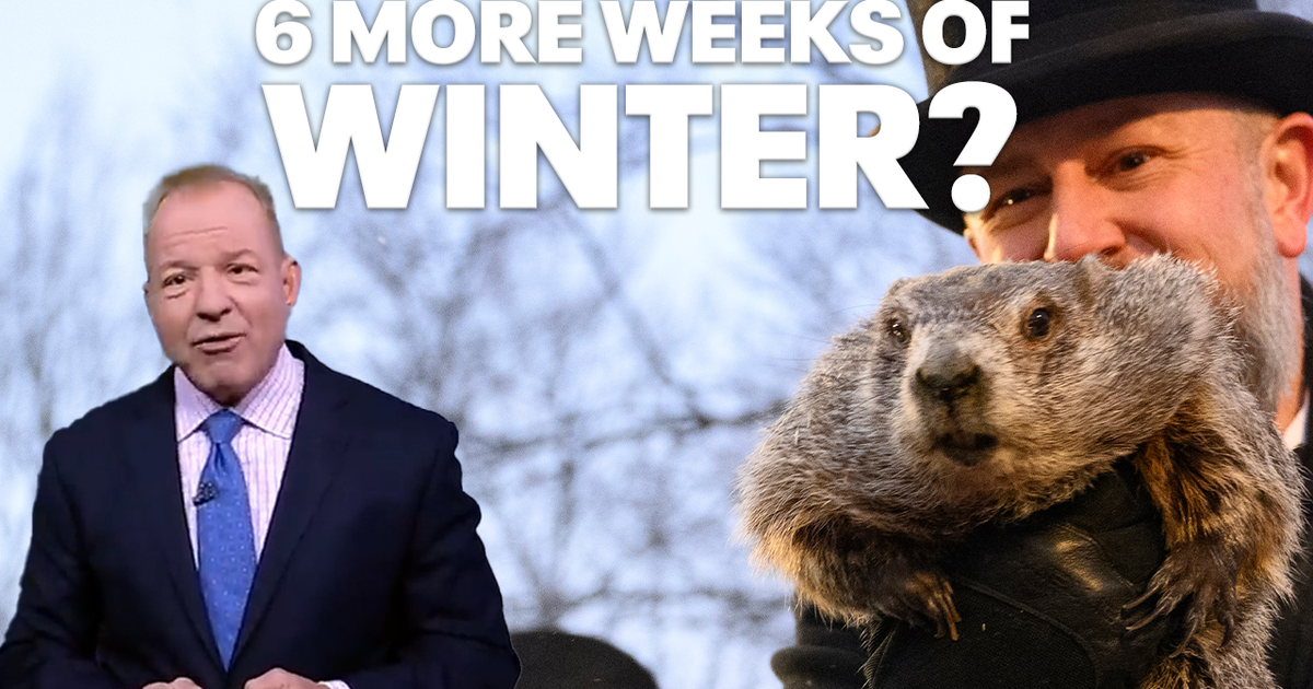 6 more weeks of winter? Meteorologist predictions for NYC | FOX 5 New York