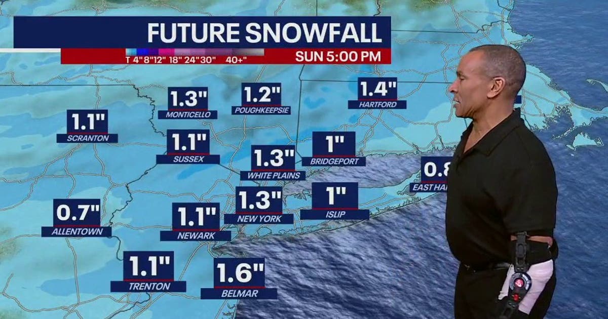 NYC weather forecast: How much snow will fall on Sunday? | FOX 5 New York