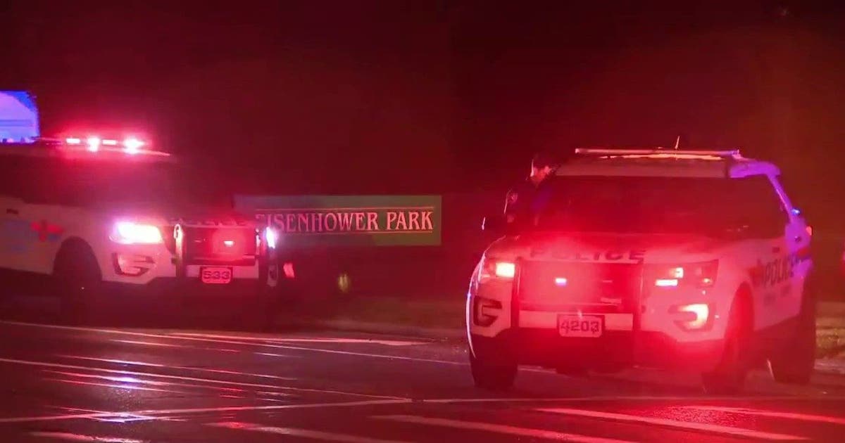 15-year-old killed in gang-related gathering at Eisenhower park on Long ...