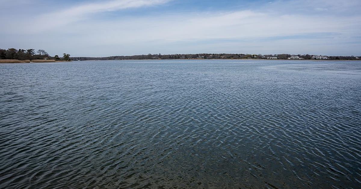 More than 80 Long Island beaches under swimming advisories | FOX 5 New York