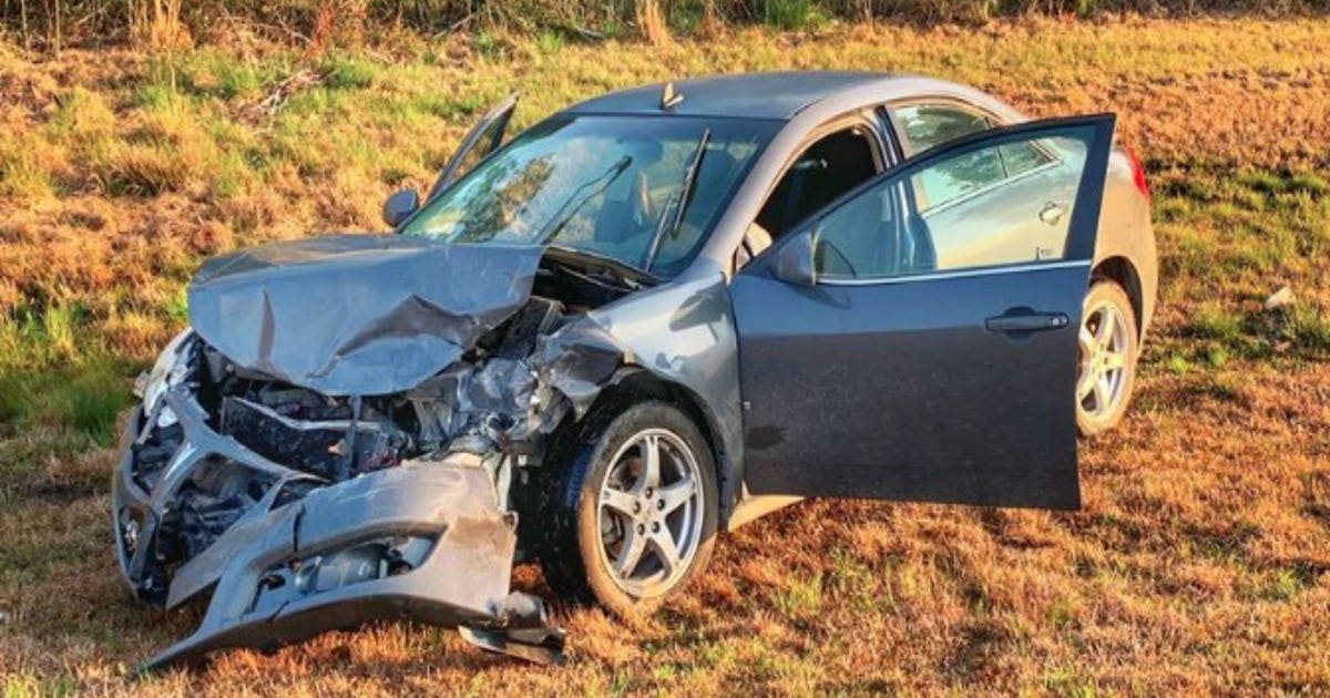 Photos: Car smashes into, kills 600 pound black bear on North Carolina ...
