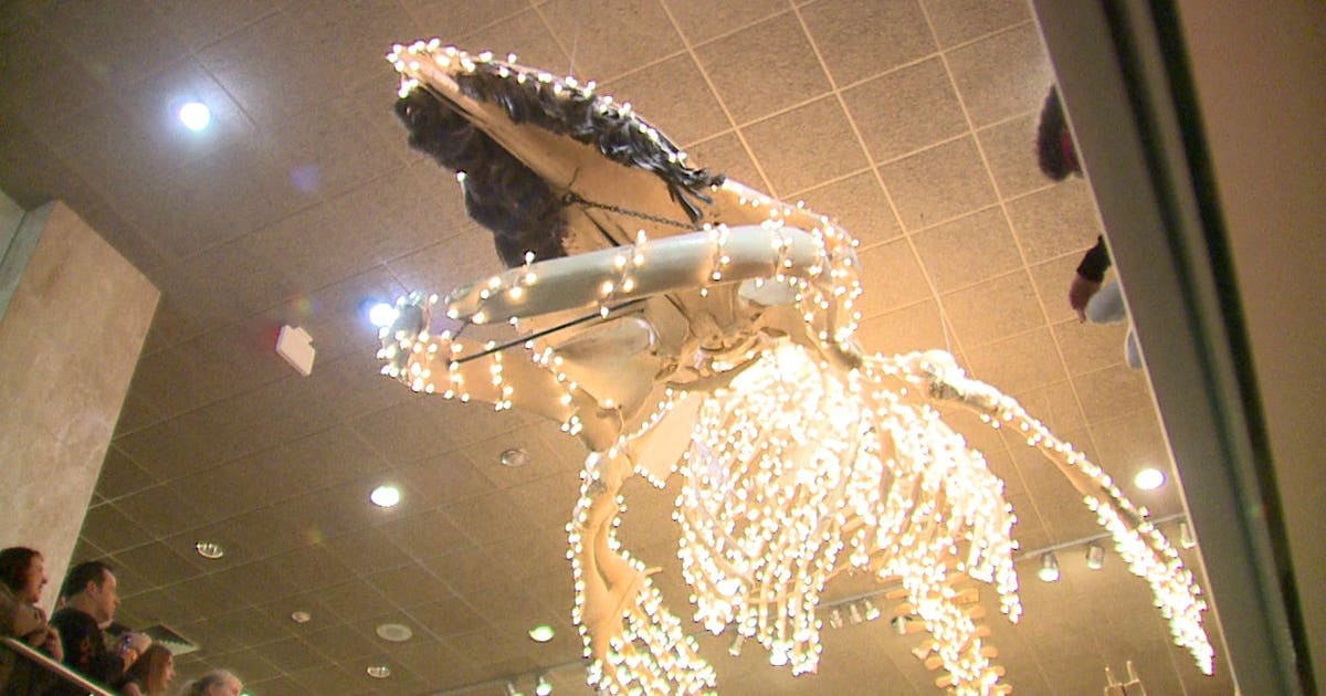 Milwaukee Public Museum's "Lighting of the Whale" tradition goes dark ...
