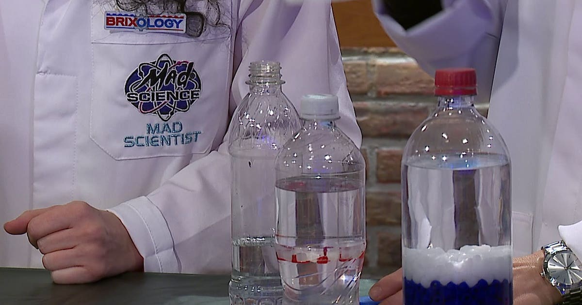 Delving into density: The experiment that could get your kids more ...