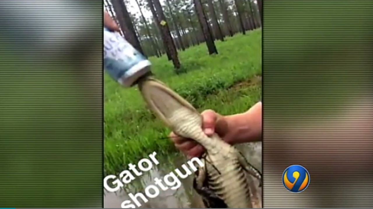 2 Arrested For Trying To Force Alligator To Drink Beer