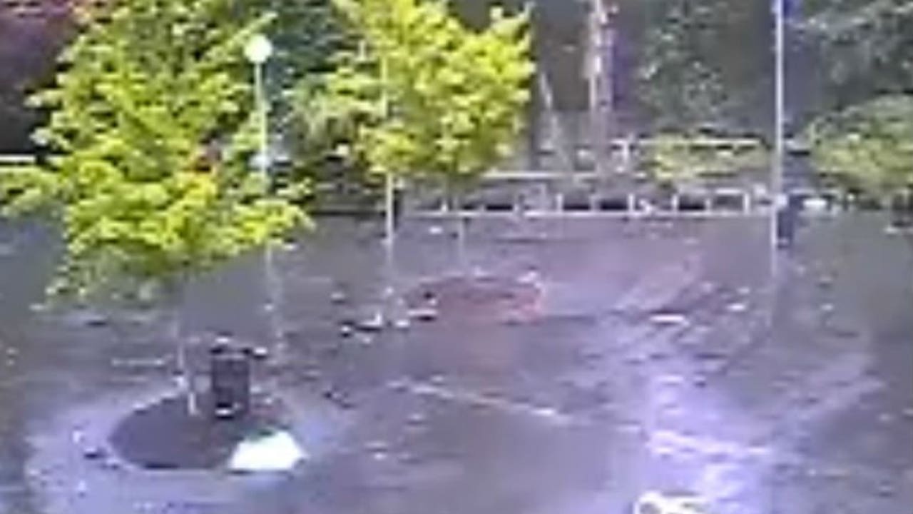 WOW! Lightning strike destroys tree, caught on camera | FOX6 Milwaukee