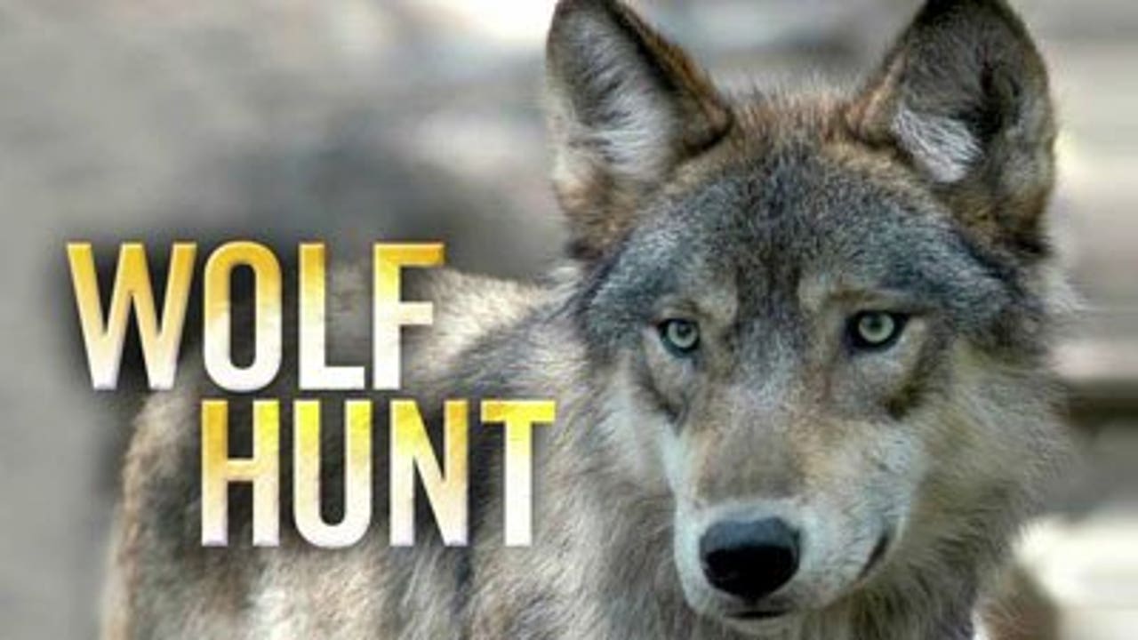 DNR Board approves framework for new wolf hunt DNR Board approves framework for new wolf hunt