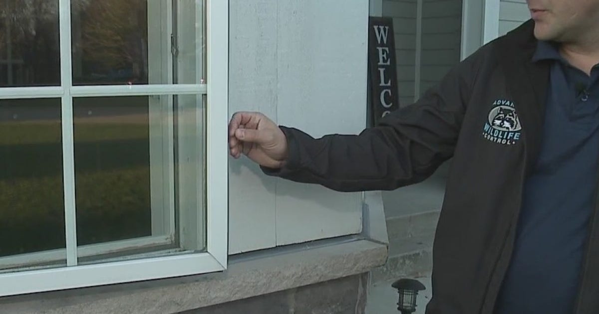 Tips to winterize your home of bugs and critters | FOX6 Milwaukee