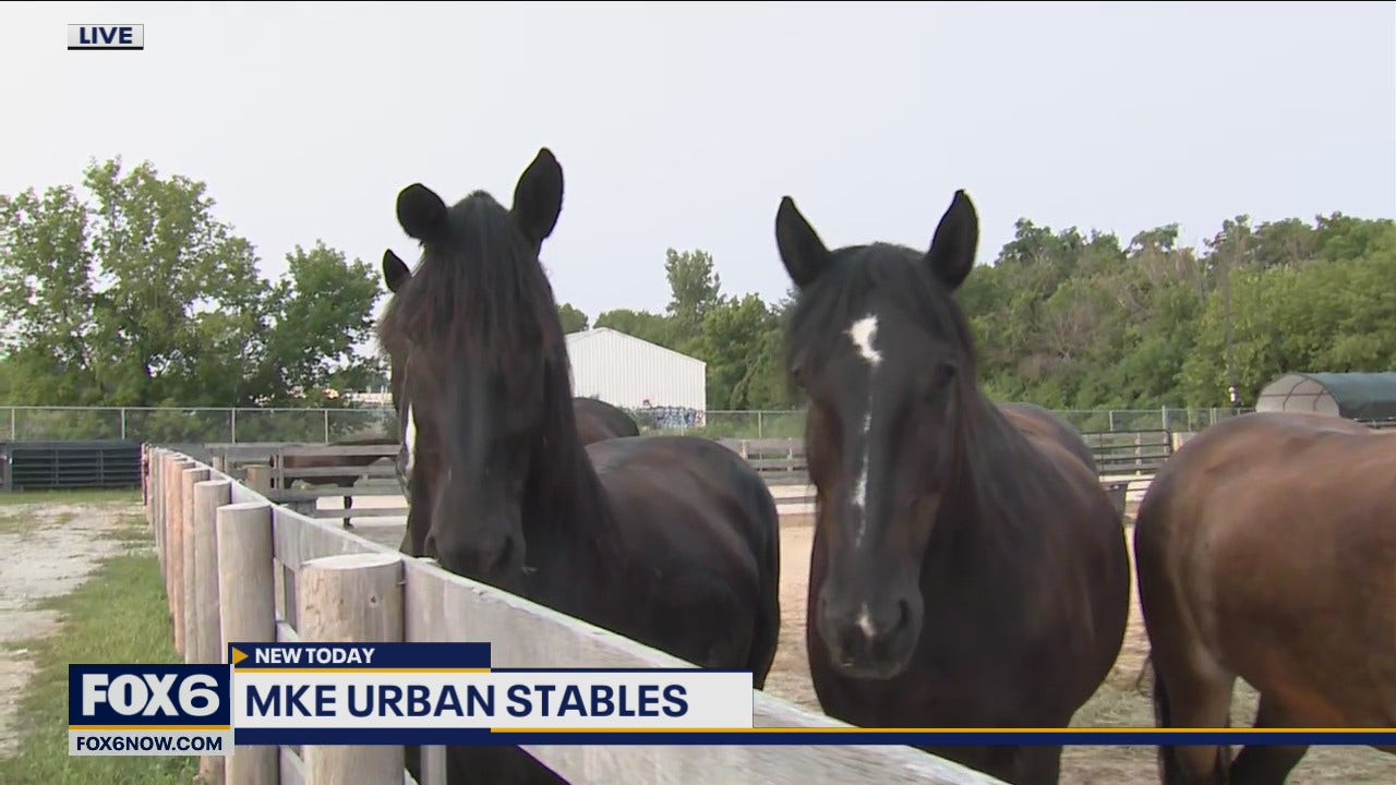 MKE Urban Stables: Home to MPD Mounted Patrol | FOX6 Milwaukee MKE Urban Stables: Home to MPD Mounted Patrol | FOX6 Milwaukee